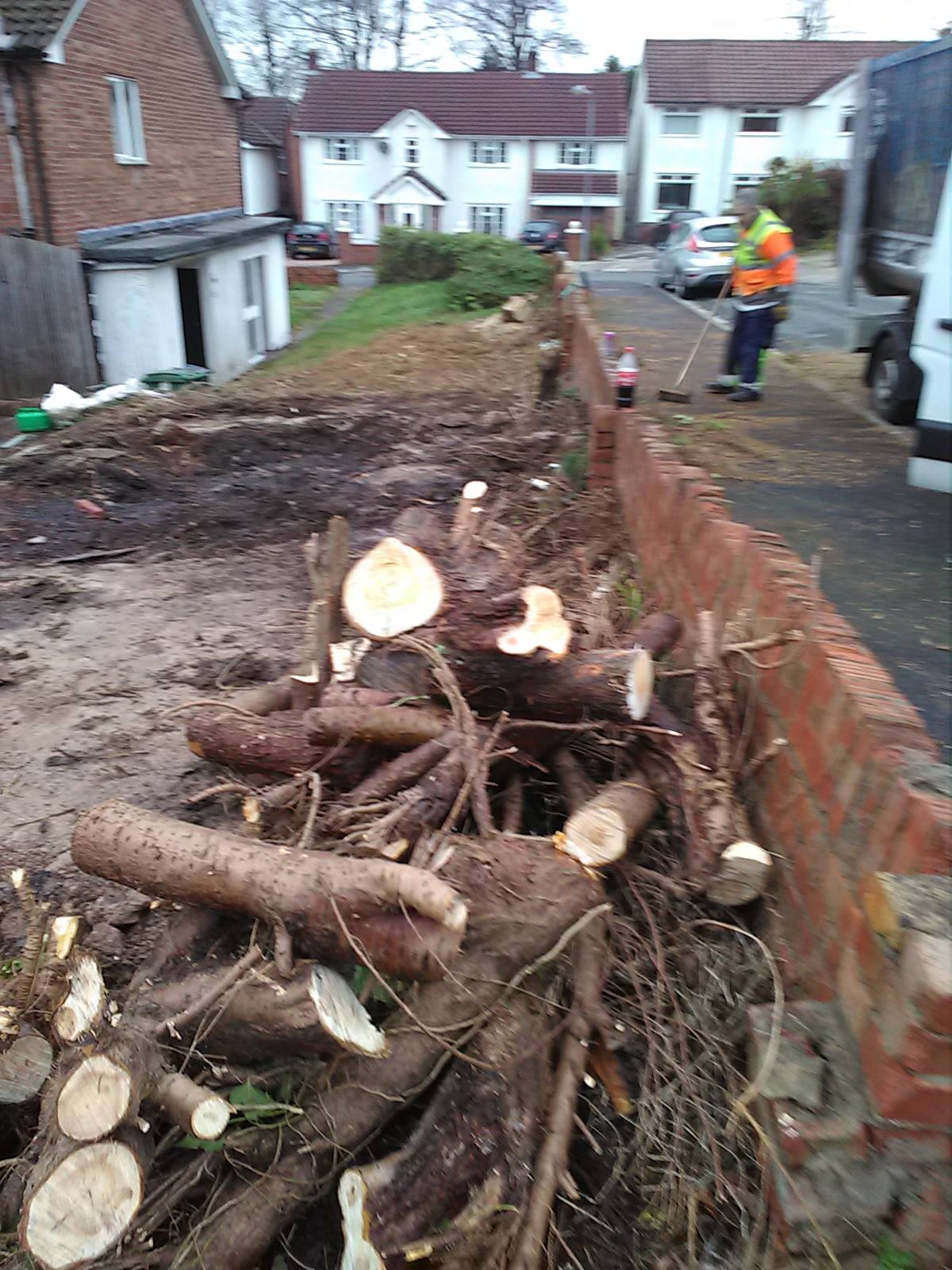 Same Day Waste - Green Waste / Trees