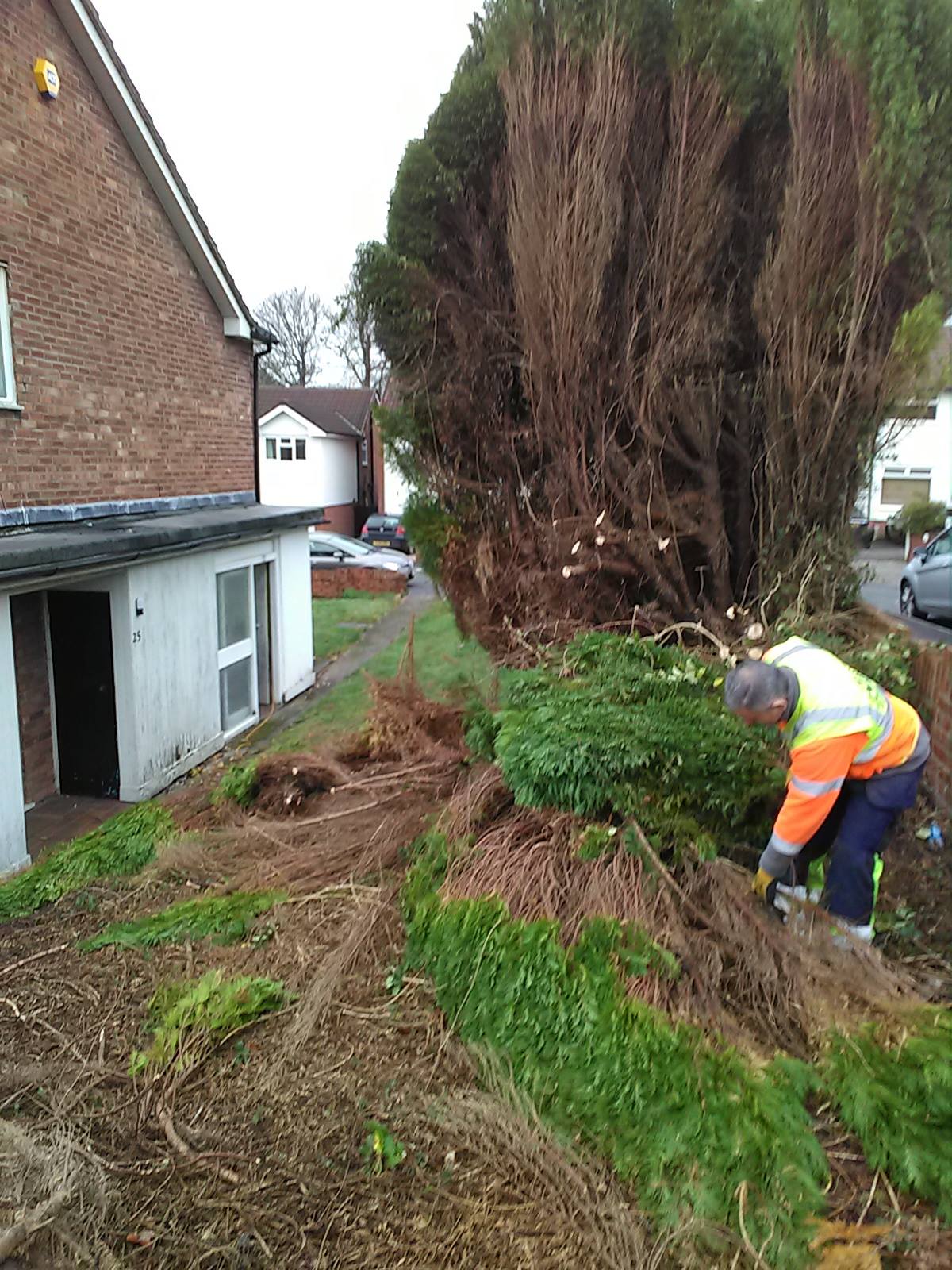 Same Day Waste - Green Waste / Trees